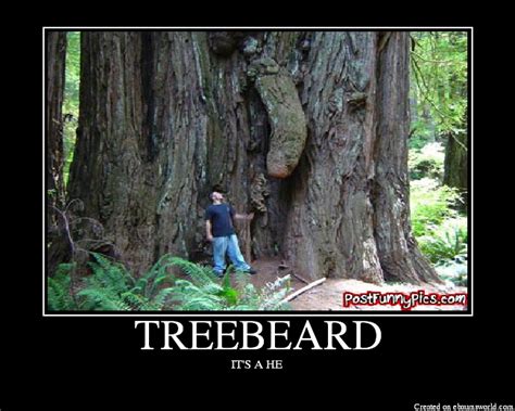 TREEBEARD Picture EBaum S World