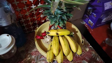 Shirval Ayala Is Live Youtube