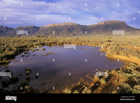 Karoo Landscape Showing Rain Filled Depression And Mountains Karoo