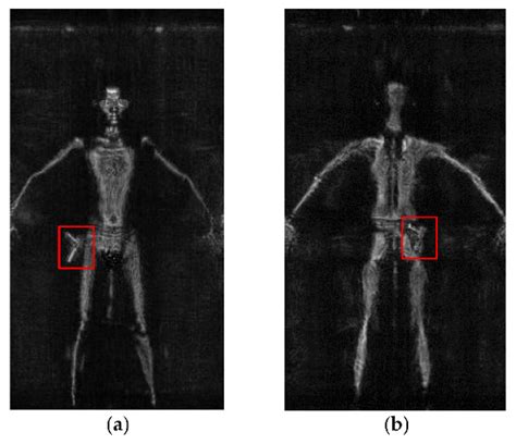 A Suspicious Multi Object Detection And Recognition Method For Millimeter Wave Sar Security