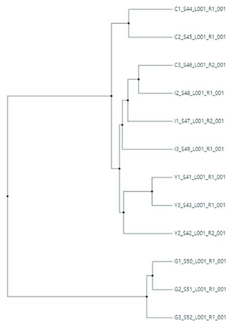 UPGMA Analysis Among Soil Samples From Three Different Habitats And Download Scientific Diagram