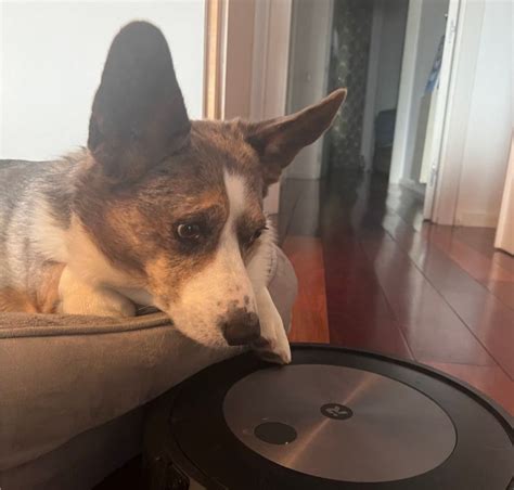 Roman Nazarov On Linkedin Have You Ever Wondered When The Ux Ends I