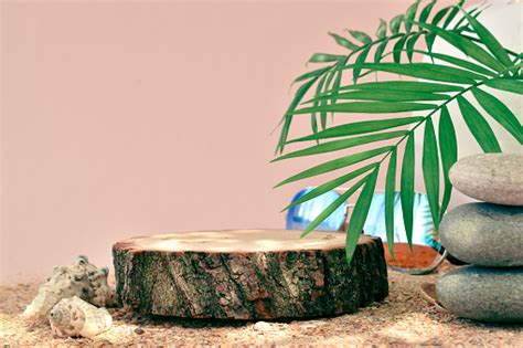 해변을위한 제품의 프리젠 테이션을위한 패션쇼 쓰러진 나무의 미니멀한 장면은 야자수의 그림자가 있는 녹색 배경에 놓여 있습니다