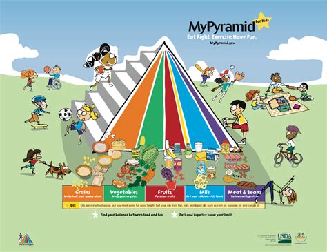 Food Pyramid 2020 Basics And Moneys Influence On Usda Guidelines