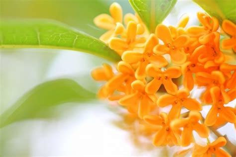 あまいsm せつないsm 年齢の確認