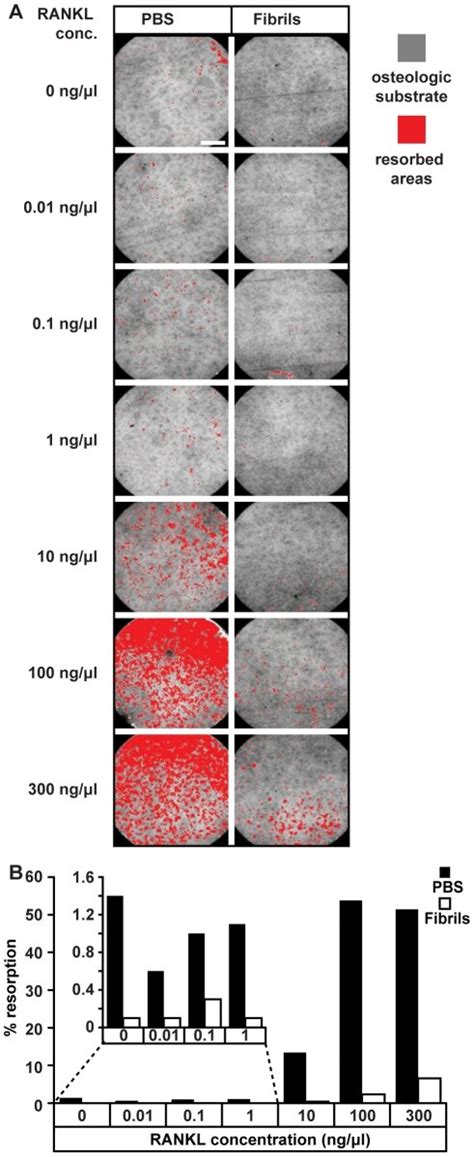 Primary Human Monocytes Were Incubated With M CSF And The Indicated Download Scientific Diagram