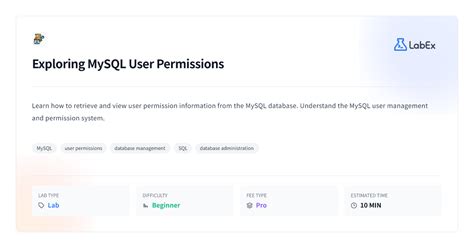 Mysql User Permissions Database Management Labex