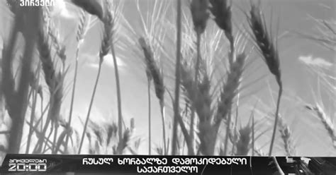 ხორბლის ბაზრის ანატომია