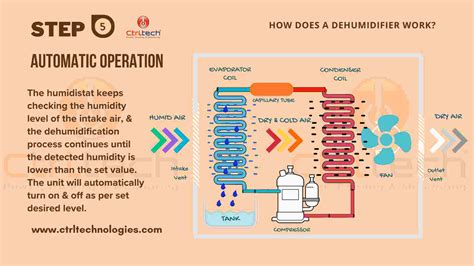 How A Dehumidifier Works A 5 Step Master Guide