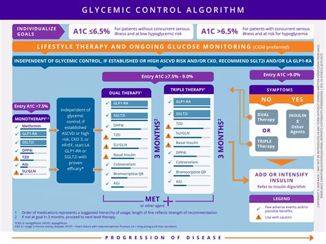 Aace 2019 Diabetes Algorithm 03 2021 Pdf