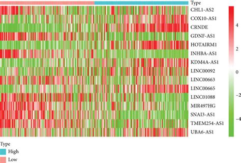Separation Of The High And Low Risk Glioma Patients By Pca And T Sne