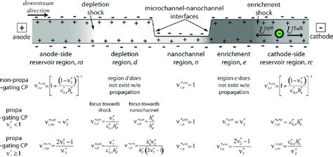 Summary Of Results For Critical Values Of N Ã I For Anionic Analytes Download Scientific