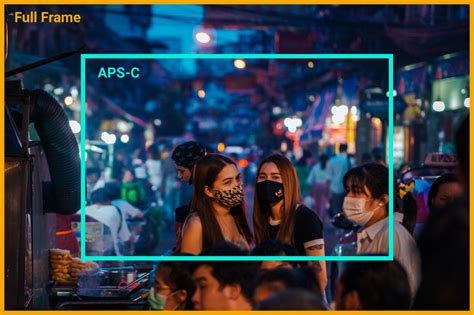 Full Frame Vs Aps C Sensor