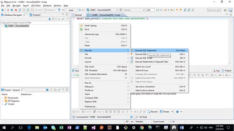 Domo Odbc Data Driver