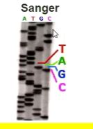BINF3010 RNA Seq Flashcards Quizlet