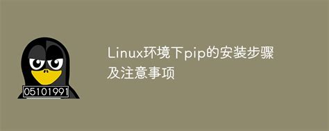 在linux环境中正确安装和使用pip的步骤和要点 米云