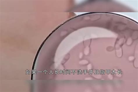 人体最脏的部位是哪里 不是脚也不是脸 很多人还经常去舔 部位 人体