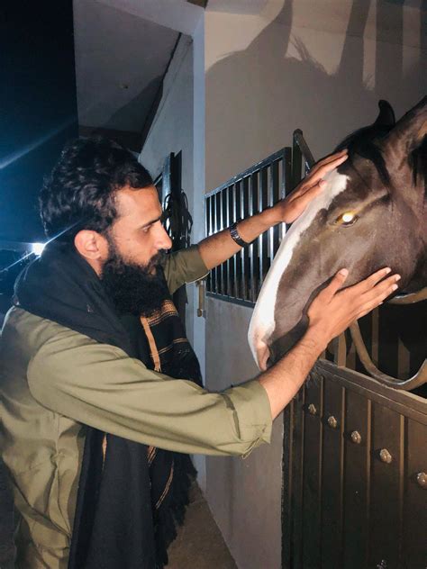 Umer Faiz Awan ‎کاش تم جان لیتے کہ ہار بہادروں کی ہوتی ہے کیونکہ بزدل لڑائی نہیں لڑتے چی