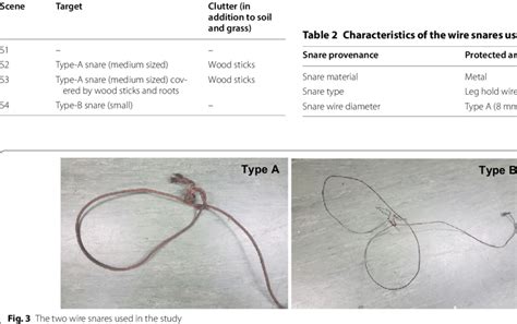 The Four Scenes Imaged By The GPR System Download Scientific Diagram