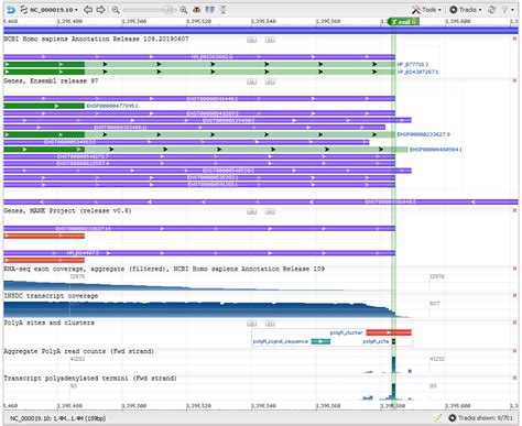 Matched Annotation From Ncbi And Embl Ebi Mane