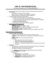 Understanding Prokaryotic Cells Structure And Characteristics Course Hero