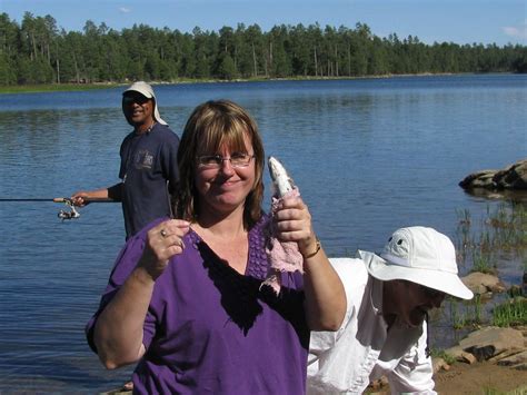 Learning To Fish Part Why Methods Matter Seminarium A Blog Community Created By