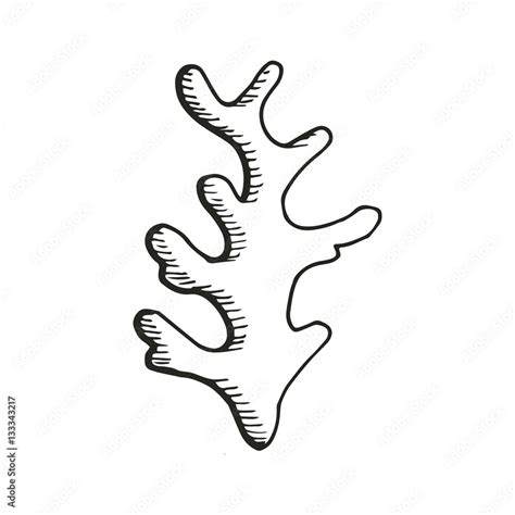 How To Draw Ocean Algae