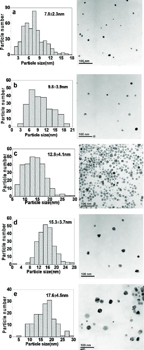 Tem Images And Corresponding Size Distribution Of The Agnps Synthesized Download Scientific