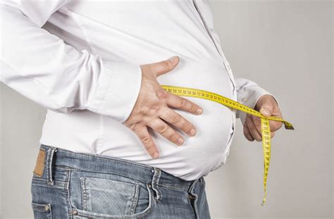 Fat Belly Gain