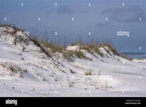 Florida Beach Sand Dunes 440 Florida Beach Sand Dune Fence Stock
