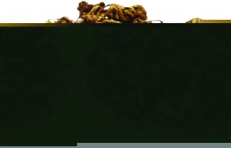 Picture Showing Selaginella Bryopteris Which Is Commonly Known As