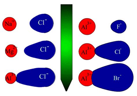 Chem1902 Polarizability