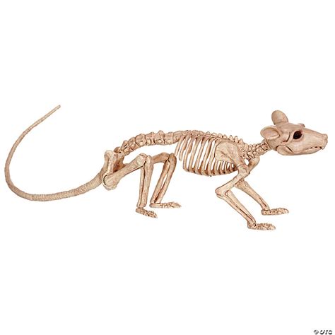 Skeleton Rat Decoration Halloween Express