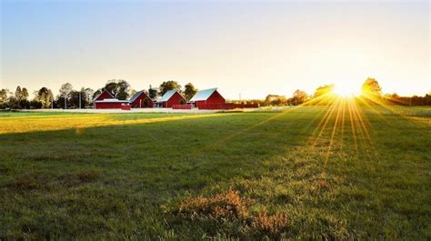 An Investors Guide To Productive Assets Physical Assets And Other