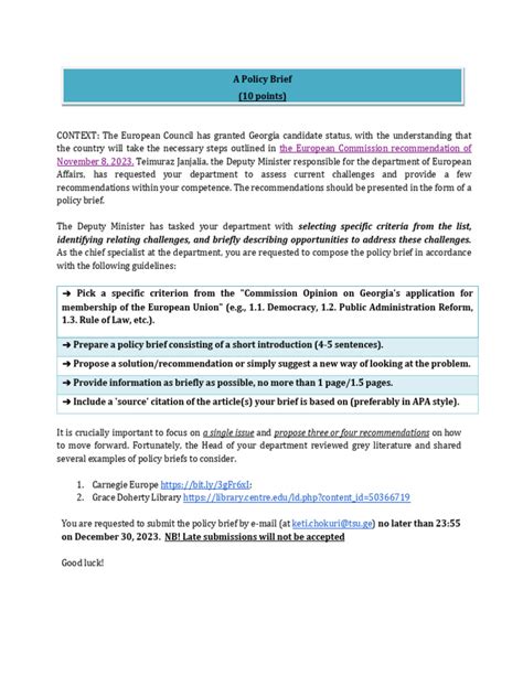 Policy Brief Instructions 2023 Pdf