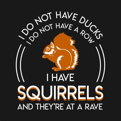 Not Ducks Not Row Have Squirrels Theyre Rave By Fiv3 Squirrel Funny Squirrel Funny