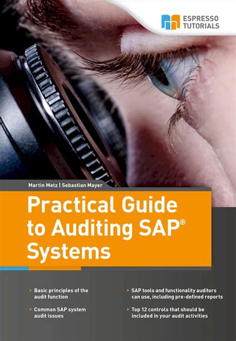 practical guide to auditing sap systems all news about our sap