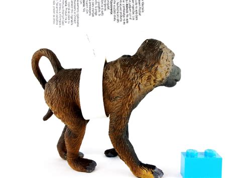 tedi-228.jpg | Servimg.com - Free image hosting service