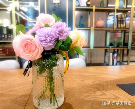 有没有可能因为后天的基因突变而患上某个基因病或者遗传病 知乎