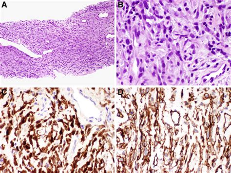 Histopathologic Examination Of Formalin Fixed Paraffin Embedded Ffpe Download Scientific