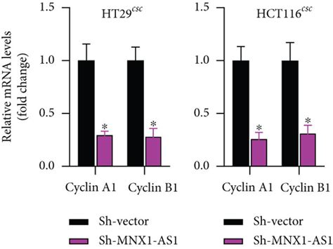 Effects Of Sh Mnx1 As1 On Coad Cell Behavior A The Effect Of