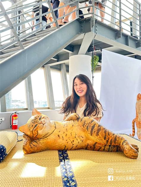 屏東最新景點，看海美術館展！期間限定必看『極度日常』5大作品，貓狗療癒日常 Archonsunrise