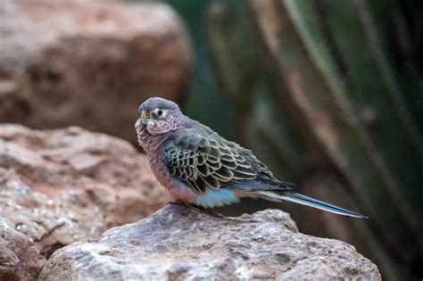 Refseq Release 222 Now Available Ncbi Insights