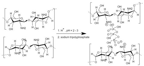 The Possible Intermolecular Chemical Interactions In Cross Linked