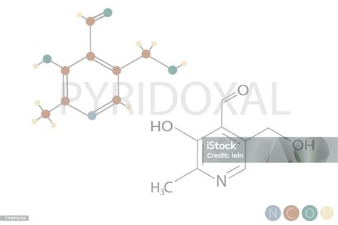 Pyridoxal Molecular Skeletal Chemical Formula Stock Illustration Download Image Now Art