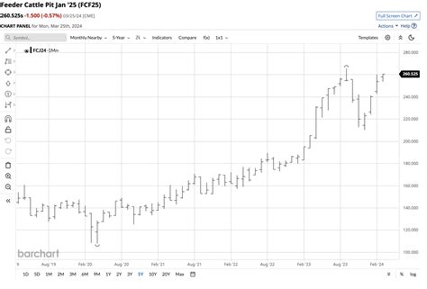 Cattle And Hogs In Q4 And 2024 Where Are They Heading In 2025 The Globe And Mail
