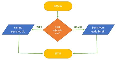 Algoritma Örneği Bilişim Teknolojileri Ve Yazılım Bilgisayar Bilimi