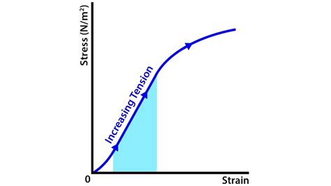 Understanding The Modulus Of Elasticity