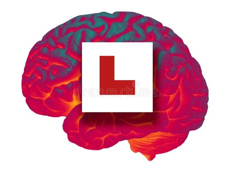 Glowing Human Brain With Red Learner L Plate Stock Illustration