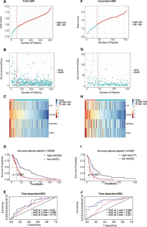 Construction And Validation Of Four‐gene Tme‐related Prognostic Model